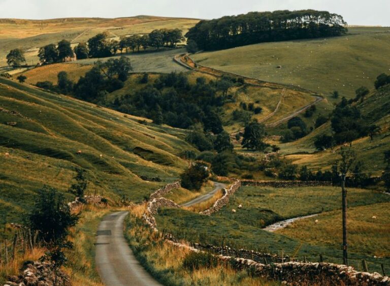 Contact Us - Arville